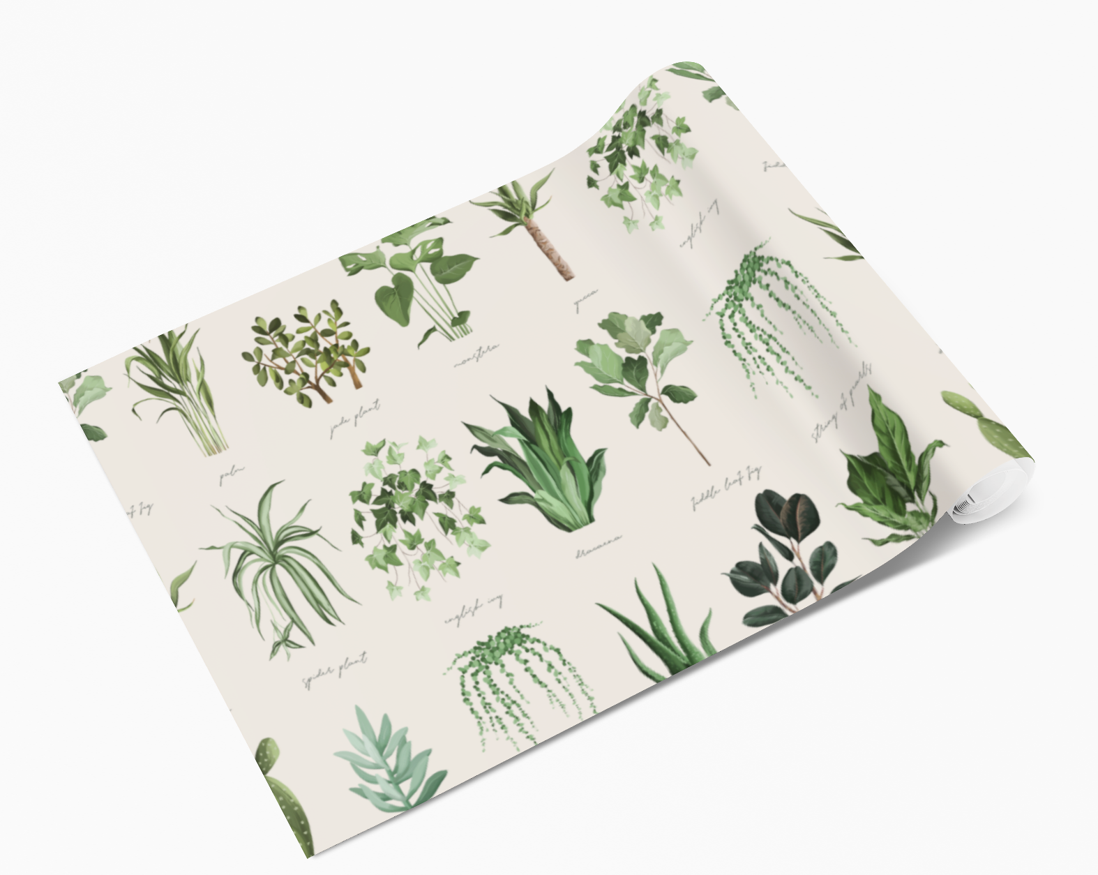 Light Plant Names Identifier Chart Vinyl Furniture Sticker