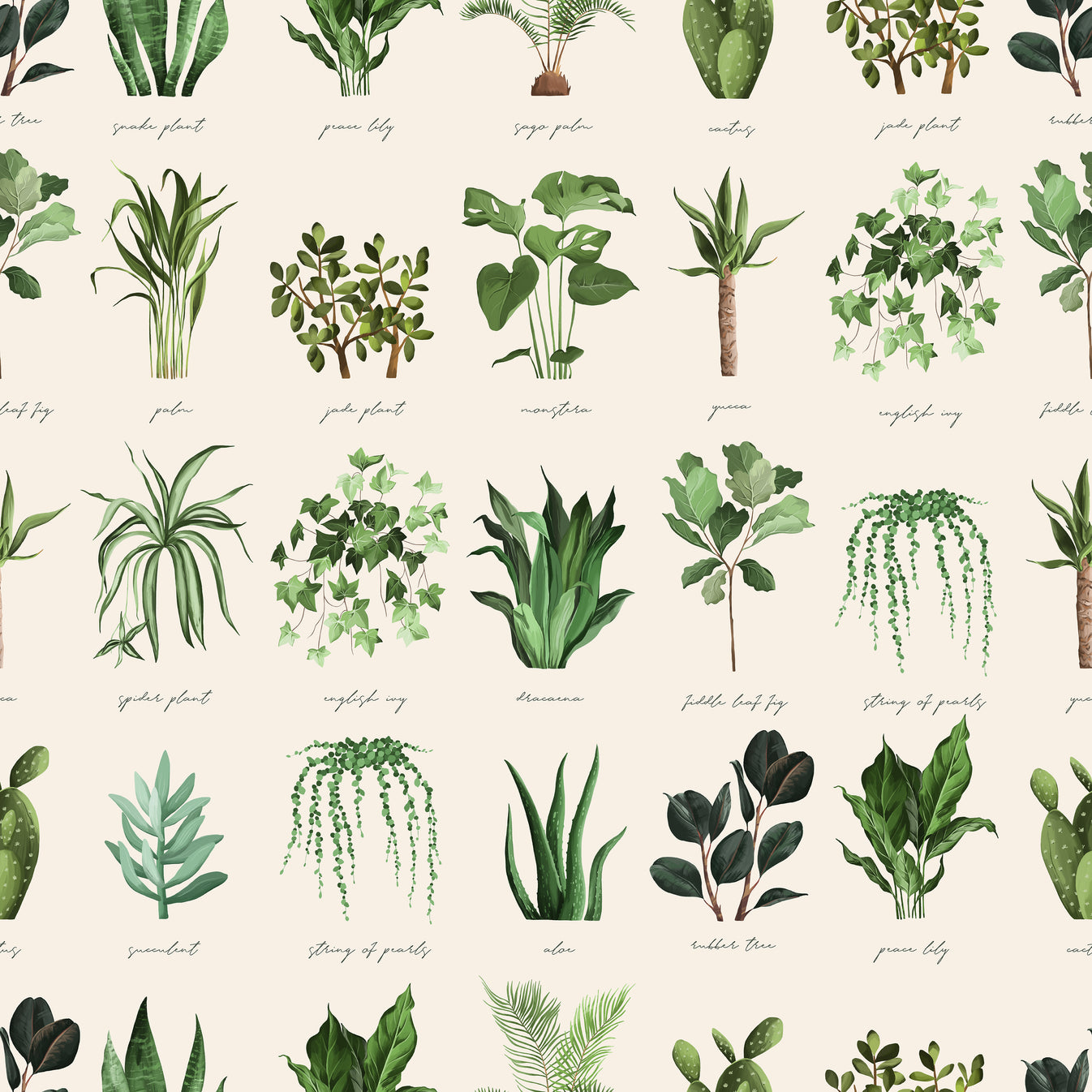 Light Plant Names Identifier Chart Vinyl Furniture Sticker